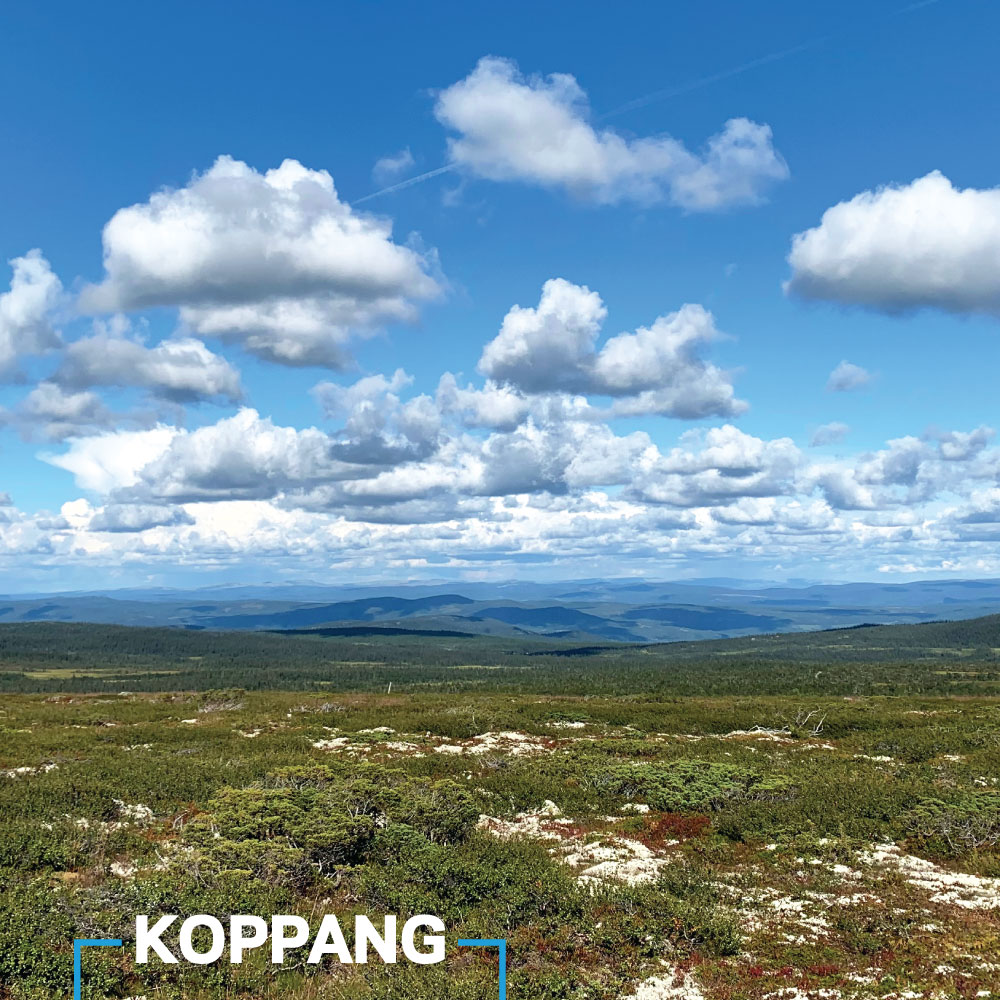 Varmepumpe på Koppang | Daikin Norway | Vannbåren varme Koppang